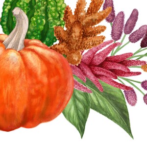 Watercolor Pumpkin Clipart, Fall Clipart, Thanksgiving Pumpkin PNG ...