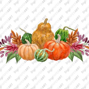 Watercolor Pumpkin Clipart, Fall Clipart, Thanksgiving Pumpkin PNG ...