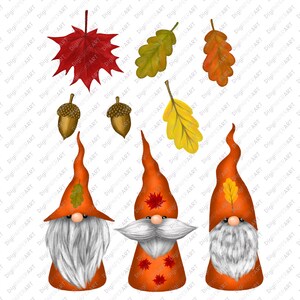Fall Bundle Paper and Gnomes Clipart Pumpkin and - Etsy