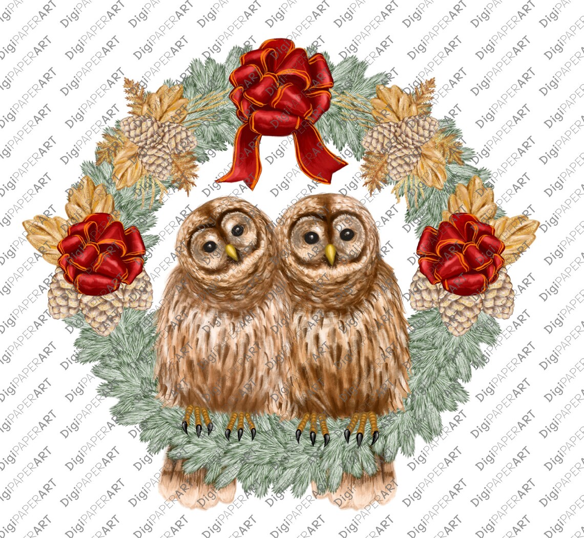 Cute Owls Clipart Woodland Owls and Christmas Wreath Owls - Etsy