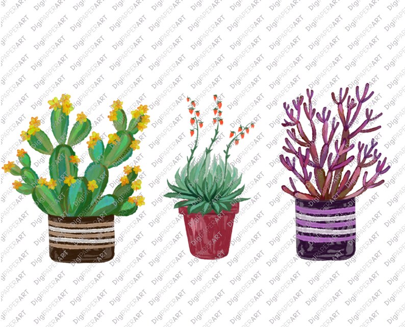 Cactus PNG Watercolor Succulents in the Pot Clipart Desert - Etsy