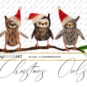 Christmas Baby Owls Clipart Christmas Owl Illustration DIY - Etsy