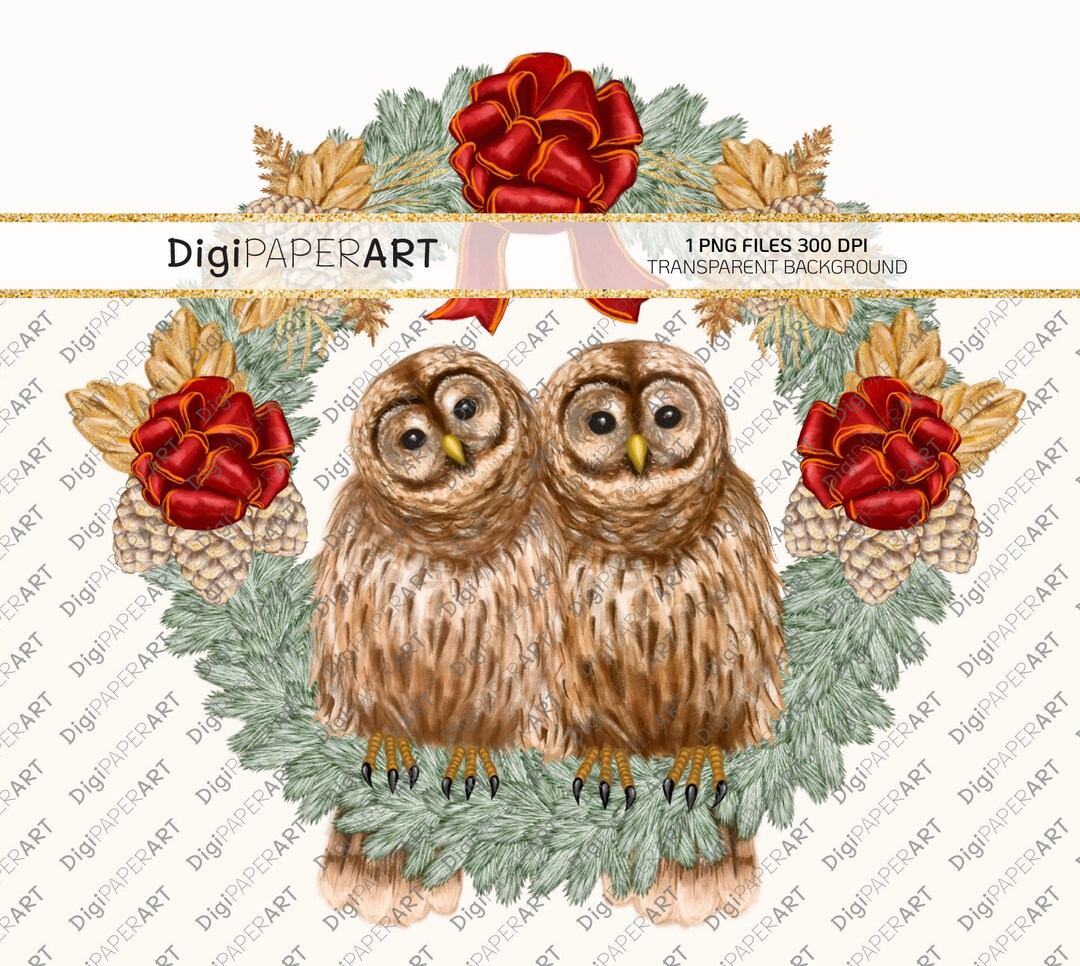 Cute Owls Clipart, Woodland Owls and Christmas Wreath, Owls and Wreath ...
