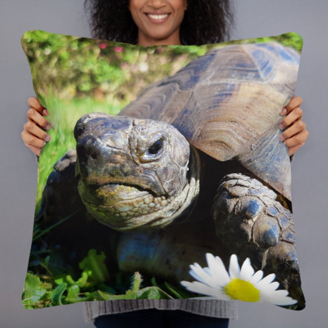 Cushion Cover With Photo of Moorish Tortoise. for Turtle Lovers. Gift ...