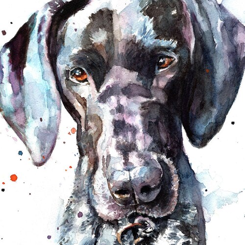 That German Shorthaired Pointer Look GSP Print - Etsy