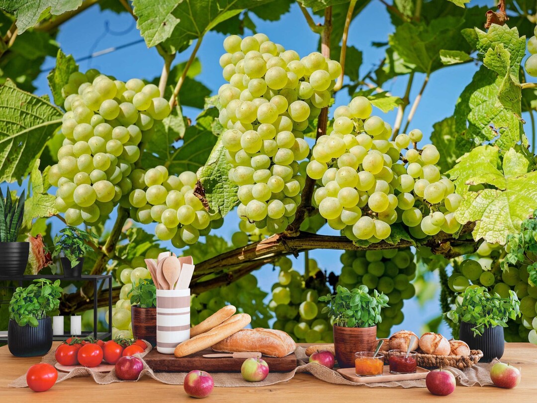 Kitchen Wall Paper Wallpaper for Kitchen Wall Wallpaper Backsplash ...