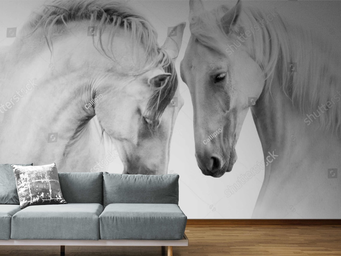 Horses Wall Mural Horse Mural Wallpaper Horse Murals for - Etsy