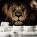 Lion King Wall Mural Lion Wall Mural Lion Wallpaper Mural Wall Wall ...