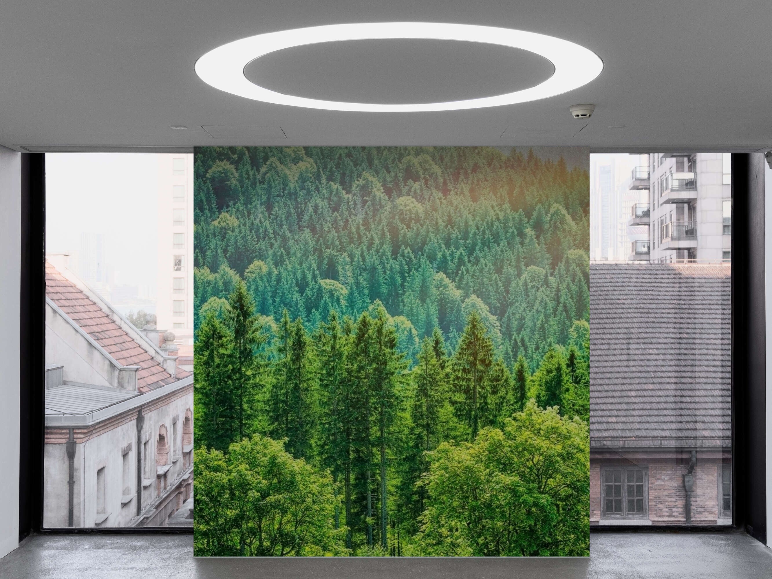 Magic Forest Wall Mural Forest Wallpaper Wall Art Green Fabric - Etsy