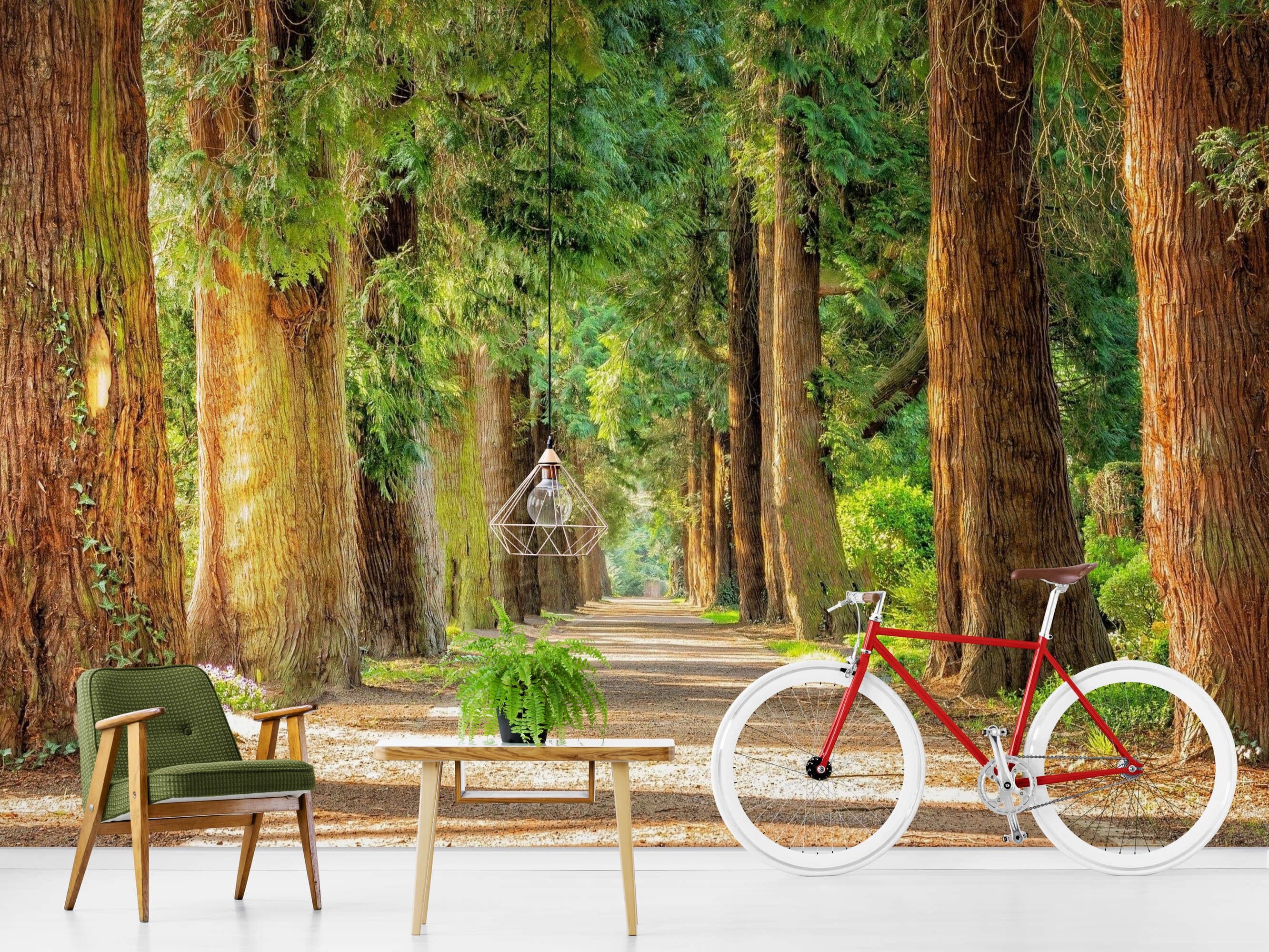 Nature Forest Wallpaper Forest Trees Mural Landscape Scenic Nature ...