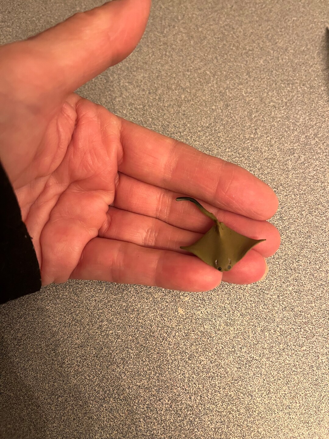 Miniature Manta Ray, Tiny Stingray, Micro Mini Ray, Ray for Resin ...