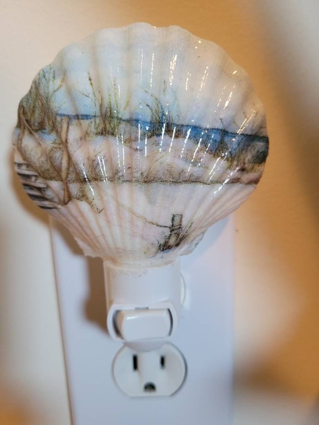 Beach Shell Nightlight, Beach Scene, Shell Art, Coastal Decor, Palm ...