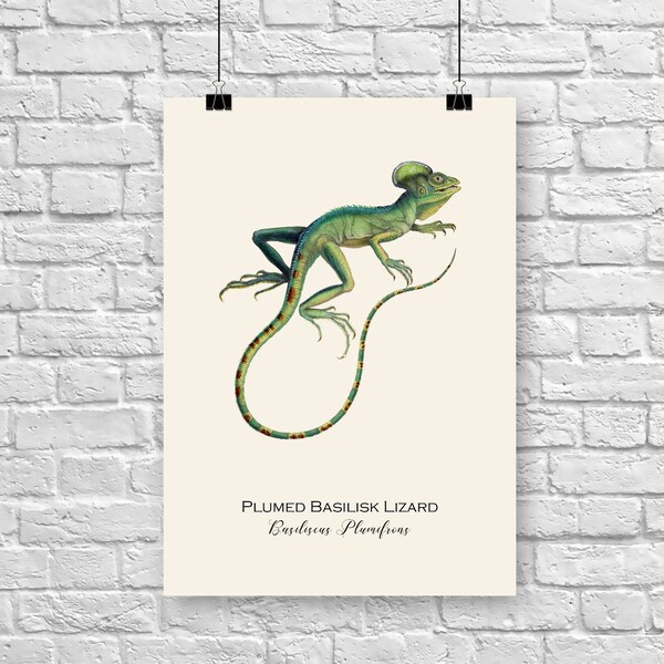 Basilisk Print - Etsy