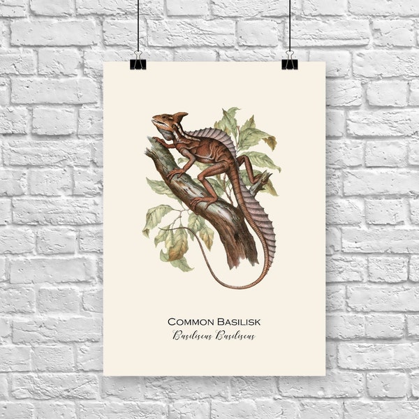 Lizard Wall Art - Etsy