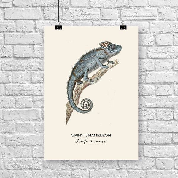Lizard Wall Art - Etsy