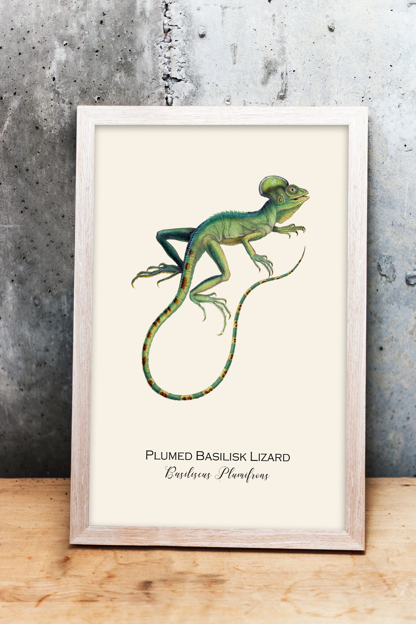 Lizard Quotes Basilisk