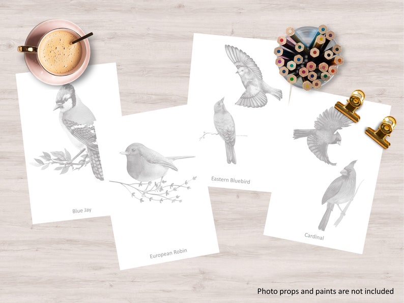 Grayscale Watercolor Painting, Birds of the World, Watercolor Paper ...