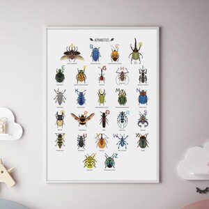 Alphabet Beetles Illustrations Print, Vertical ABC Poster, Nursery A-Z ...