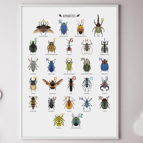 Alphabet Beetles Illustrations Print Vertical ABC Poster | Etsy