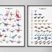 Set of 2 Educational Dinosaur ABC and Numbers Prints, Alphabet ...