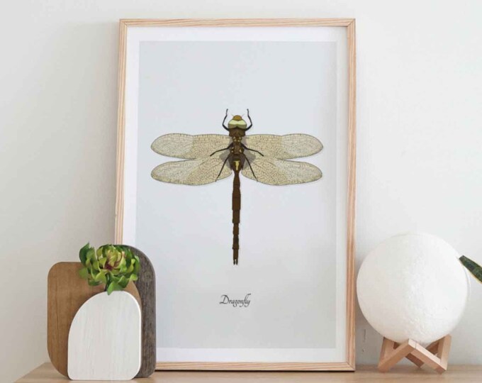 Alphabet Beetles Illustrations Print, Vertical ABC Poster, Nursery A-Z ...