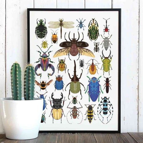 Alphabet Beetles Illustrations Print Vertical ABC Poster - Etsy Israel
