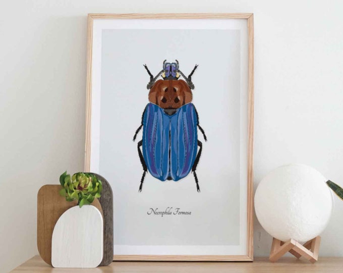 Alphabet Beetles Illustrations Print, Vertical ABC Poster, Nursery A-Z ...