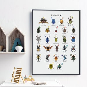 Alphabet Beetles Illustrations Print, Vertical ABC Poster, Nursery A-Z ...