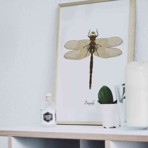 Dragonfly Illustration, Bug Wall Art, Instant Download Insect Poster ...