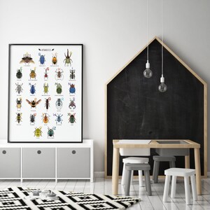Alphabet Beetles Illustrations Print, Vertical ABC Poster, Nursery A-Z ...