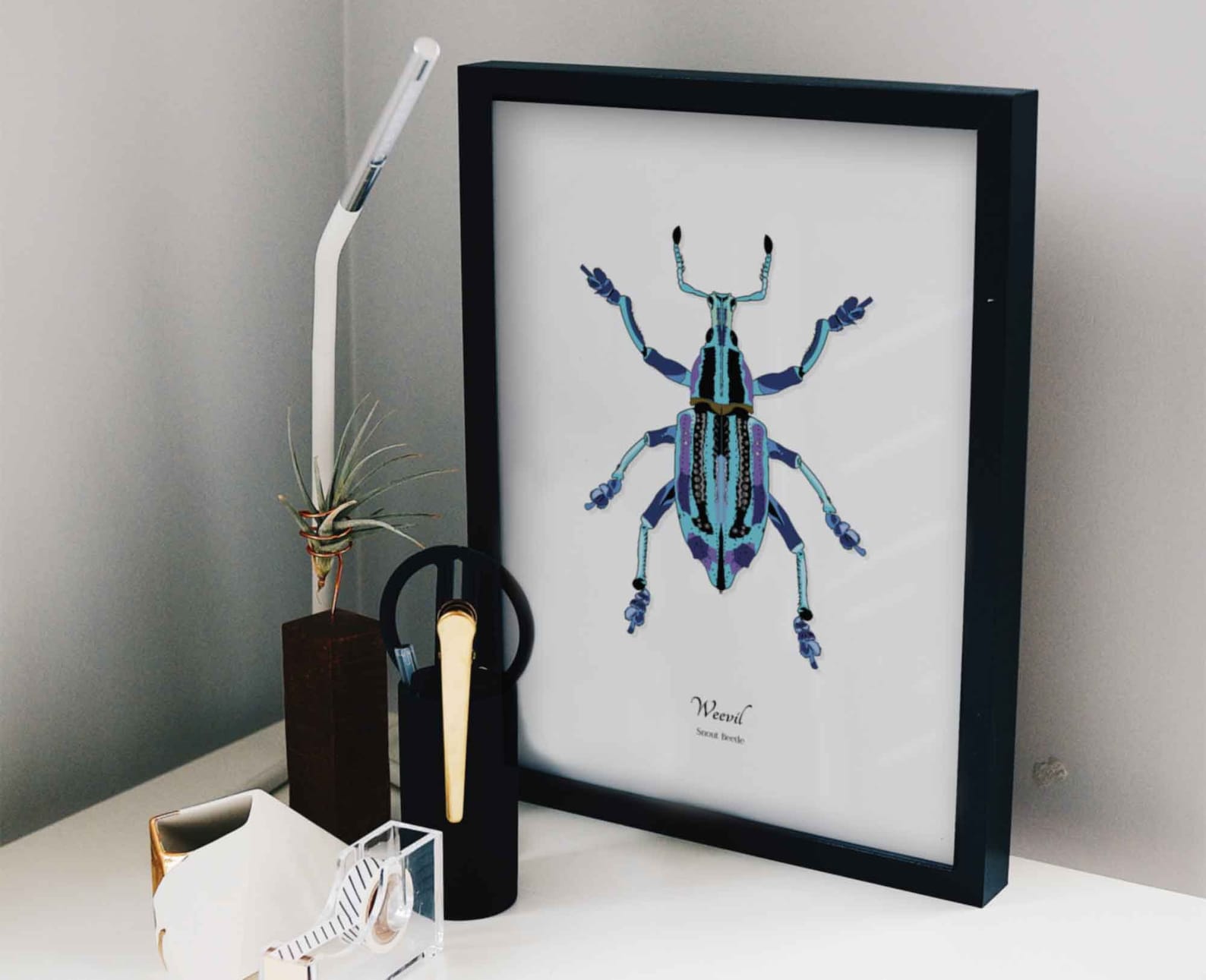 Weevil Snout Beetle Illustration wall Art Instant download | Etsy
