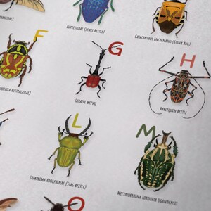 Alphabet Beetles Illustrations Print, Vertical ABC Poster, Nursery A-Z ...