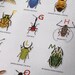 Alphabet Beetles Illustrations Print, Vertical ABC Poster, Nursery A-Z ...