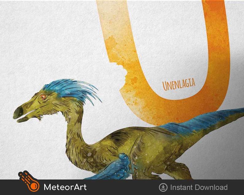 Letter U Unenlagia Dinosaur Illustration Alphabet Dinosaur - Etsy