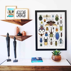 Bugs Illustration, Insect Wall Art, Instant Download Beetles Poster ...