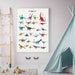 Watercolor Alphabet Dinosaurs Print Portrait ABC Poster - Etsy