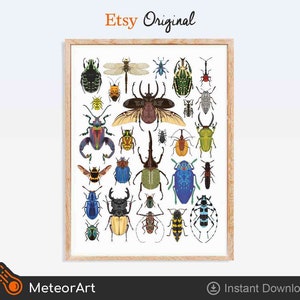 Bugs Illustration, Insect Wall Art, Instant Download Beetles Poster ...