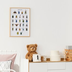 Alphabet Beetles Illustrations Print, Vertical ABC Poster, Nursery A-Z ...