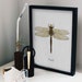Dragonfly Illustration, Bug Wall Art, Instant Download Insect Poster ...