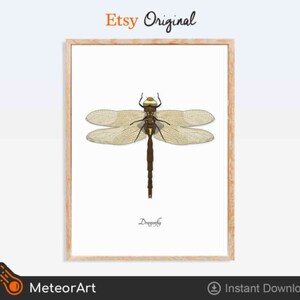 Dragonfly Illustration, Bug Wall Art, Instant Download Insect Poster ...