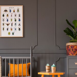Alphabet Beetles Illustrations Print, Vertical ABC Poster, Nursery A-Z ...