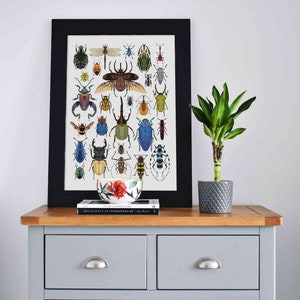 Bugs Illustration, Insect Wall Art, Instant Download Beetles Poster ...