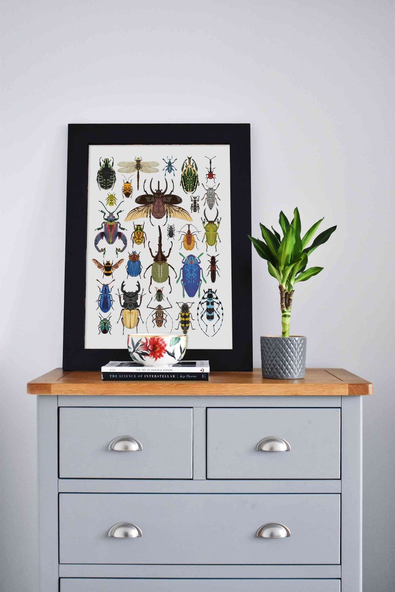 Bugs Illustration Insect Wall Art Instant Download Beetles | Etsy