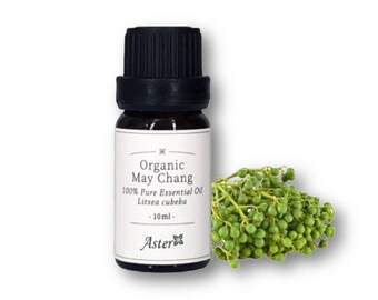 May Chang litsea Cubeba Wildcrafted Essential Oil - Etsy
