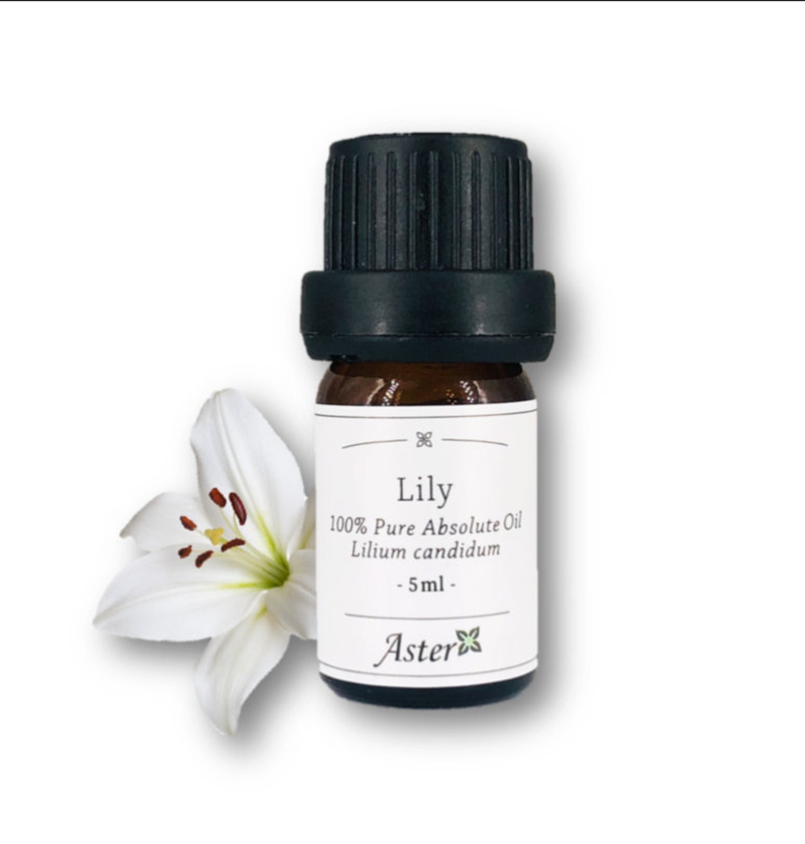 100% Lily Absolute Oil - Etsy