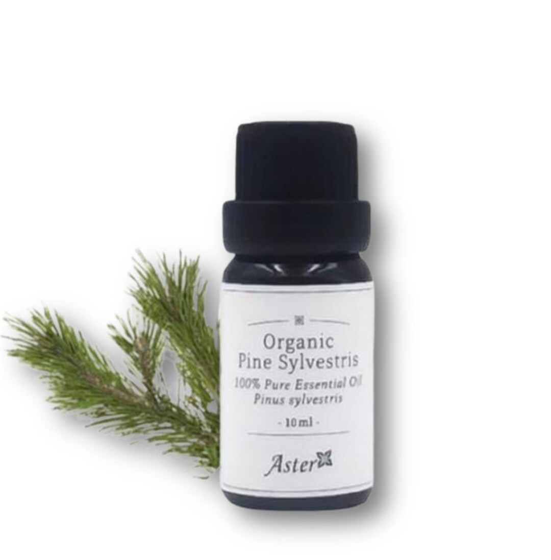 Organic Pine 100% Pure Essential Oil (pinus Sylvestris) - Etsy