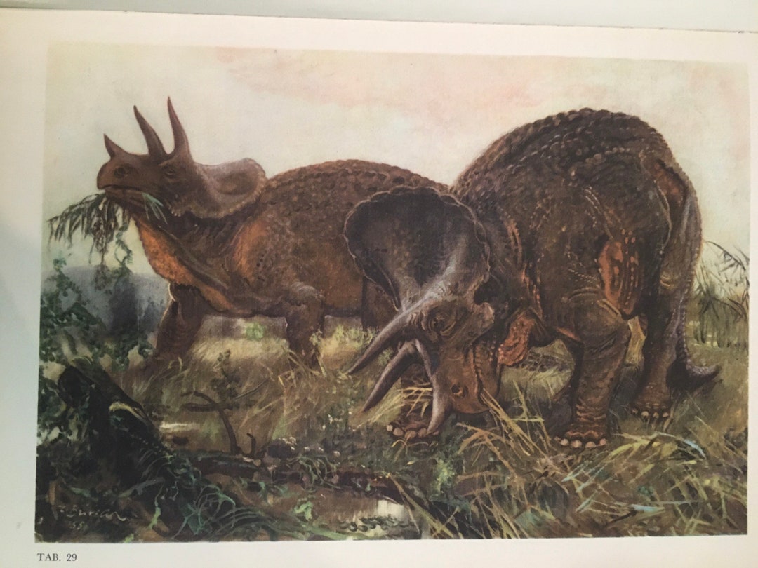 Original Vintage 1956 Print by Zdenek Burian Triceratops - Etsy