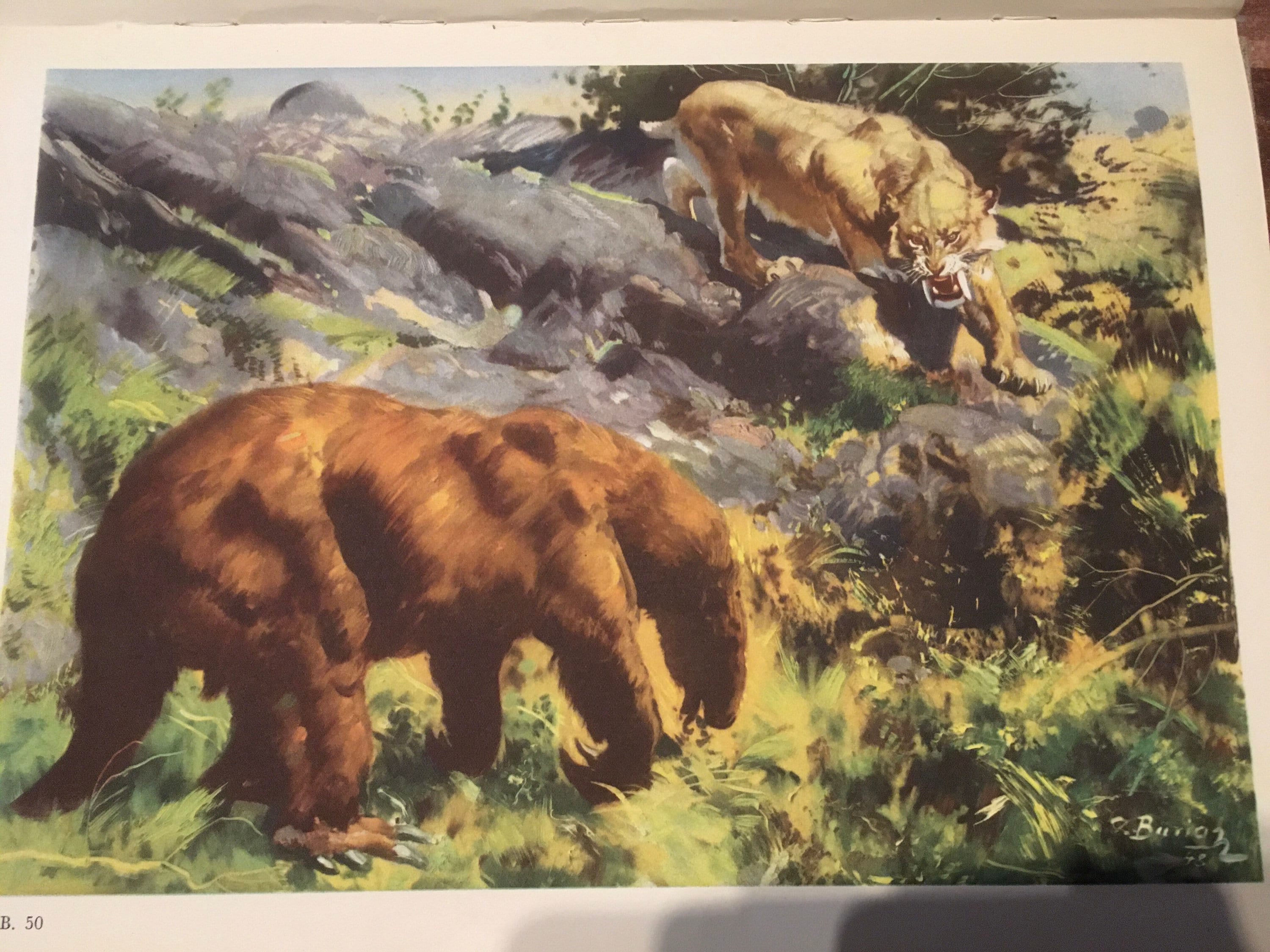 Original Vintage 1956 Print by Zdenek Burian Nothrotherium - Etsy