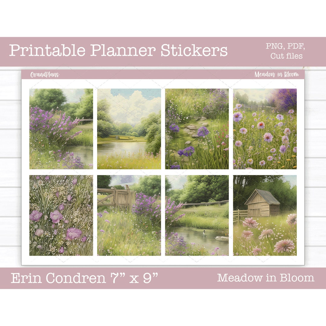 Printable Planner Stickers, Weekly Sticker Kit, Erin Condren Planner ...