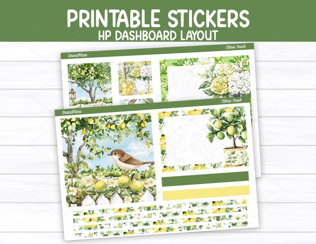 Summer Planner Stickers: Citrus Fresh Weekly Kit for the Classic Happy ...